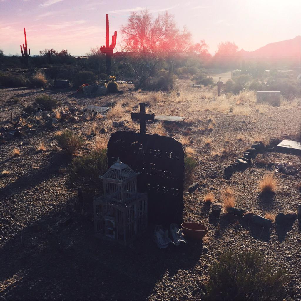 Horror, Terror, and the In-Between: An Examination of the Corpses in ...