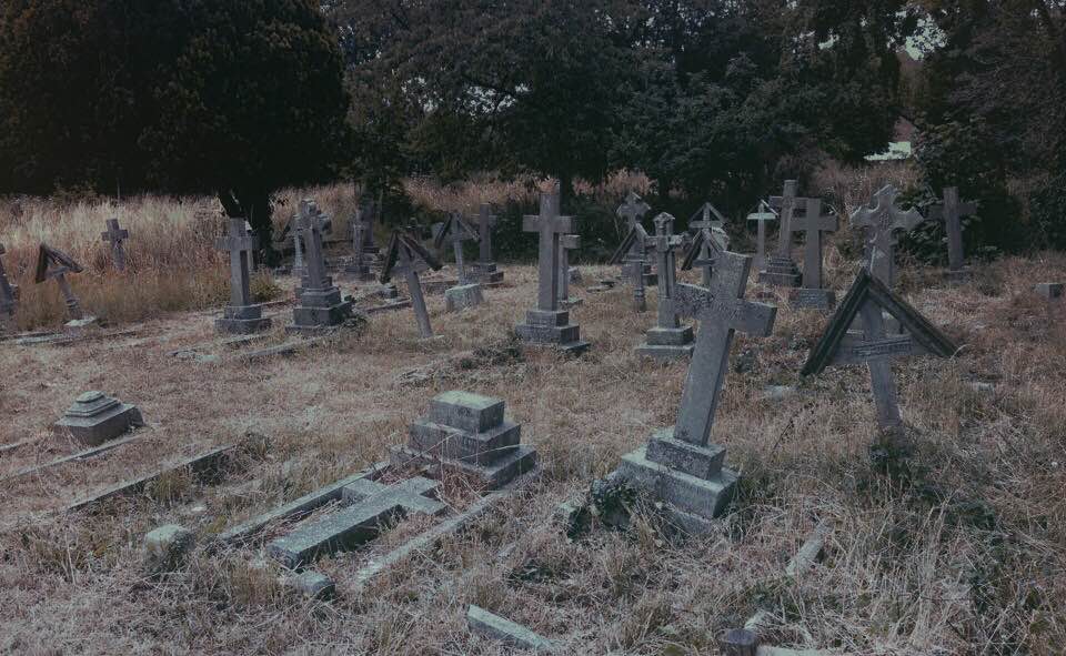 Dormitory for the Dead: From the Churchyard to the Cemetery – Trish Lundy