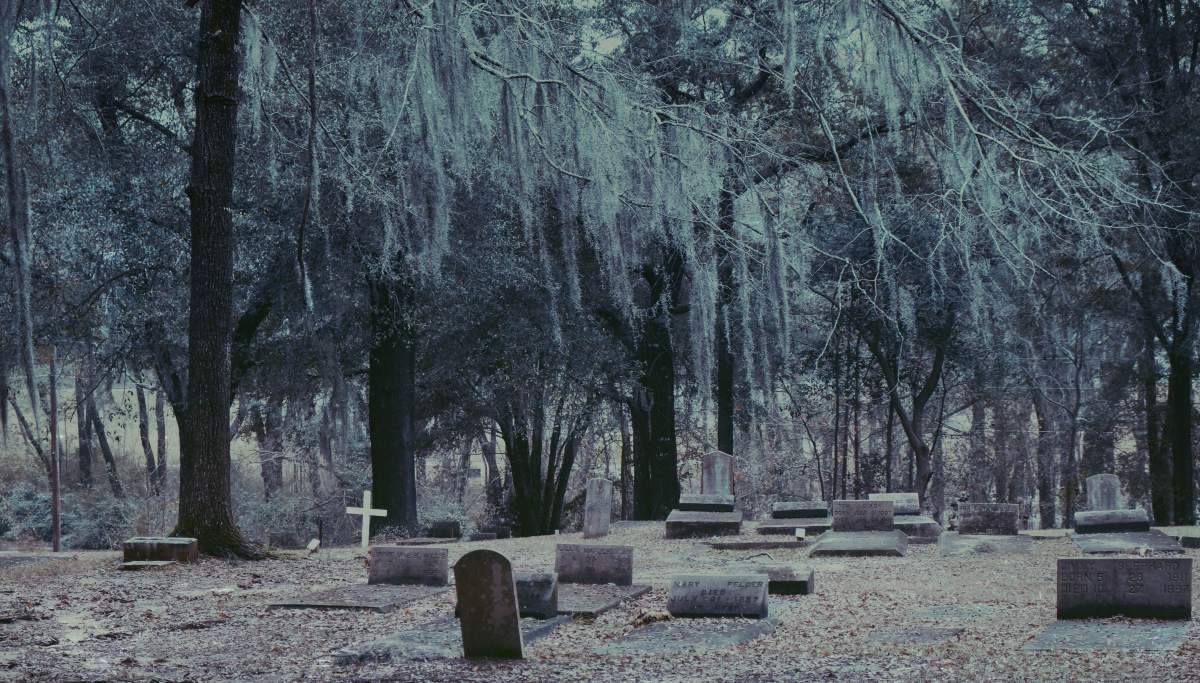 Miasma, Effluvia,and the Mythos of Rotting – Trish Lundy