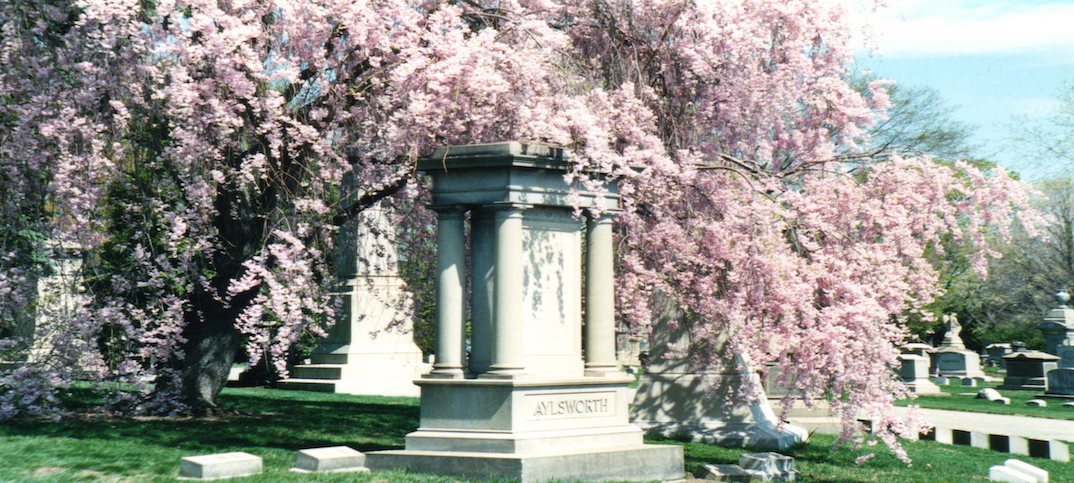 The Cemetery as an Olfactory Refuge Part II – Trish Lundy