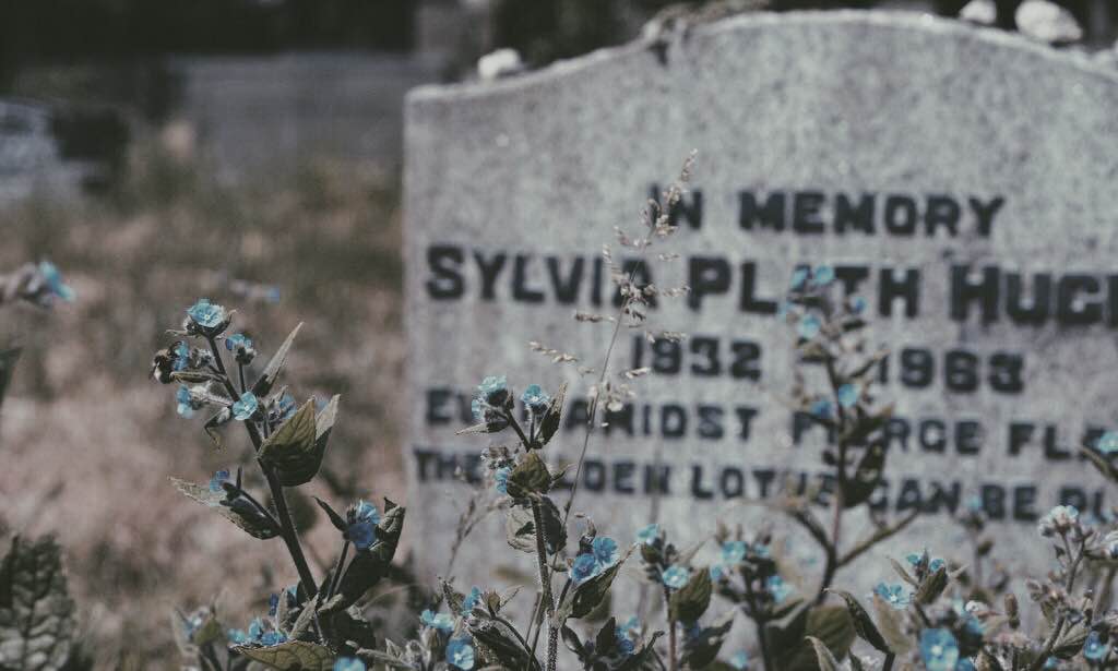 Elegy for Sylvia: Ted Hughes’ Birthday Letters – Trish Lundy
