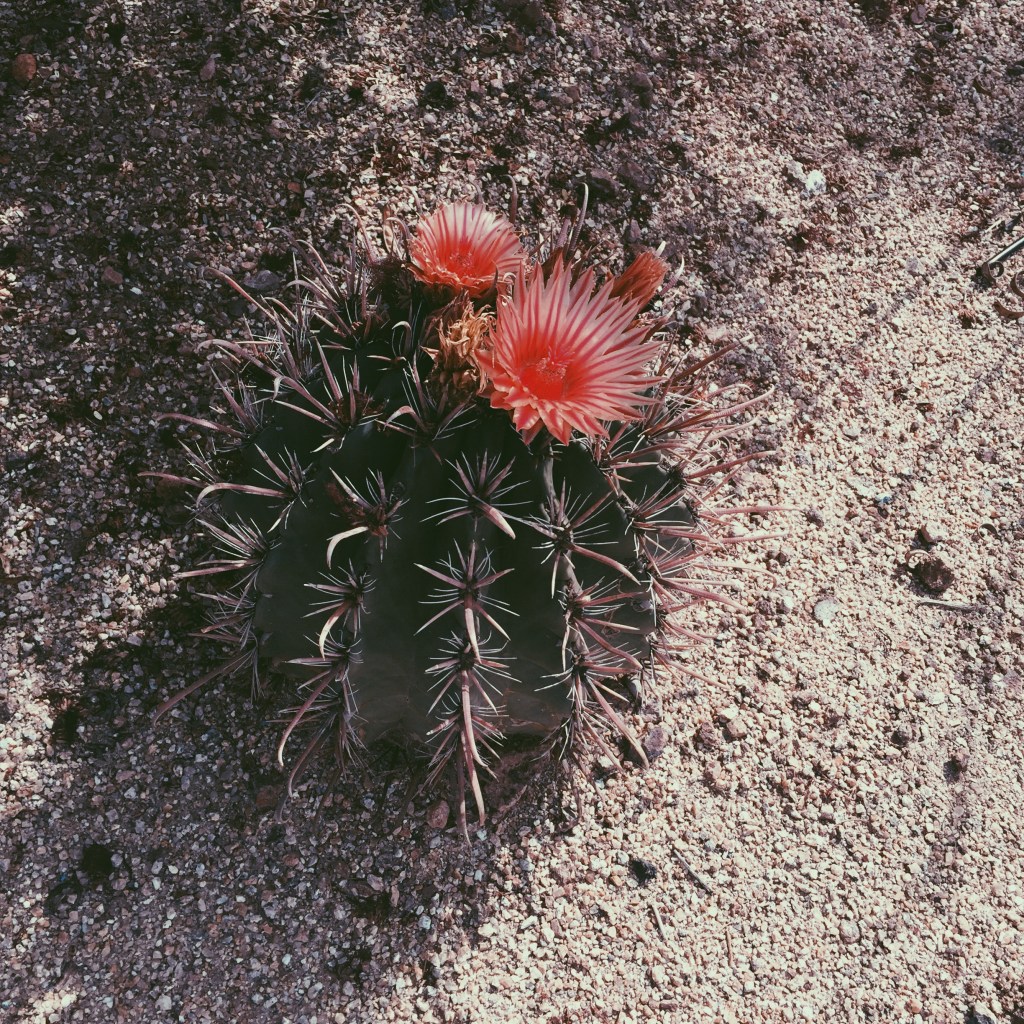 Artistic Ofrendas: Remembering the Dead Through Art – Trish Lundy