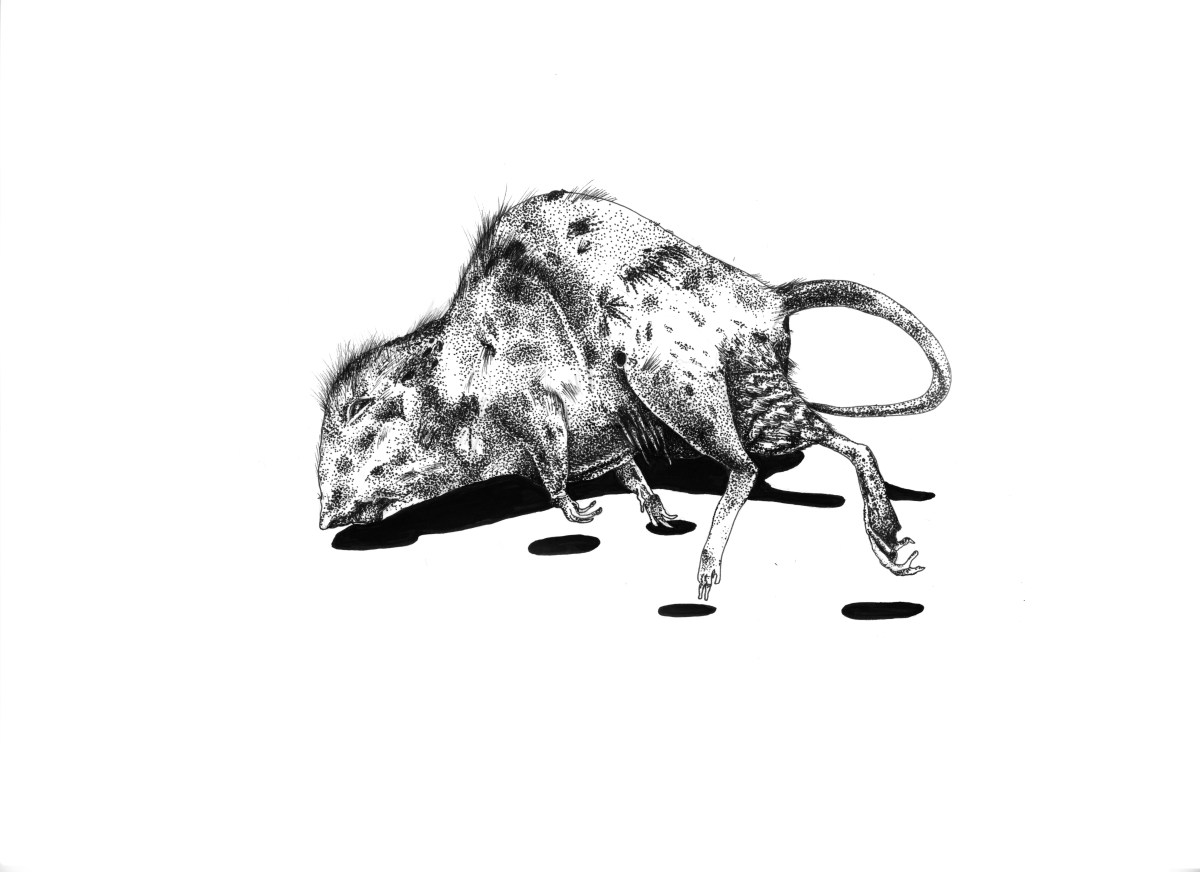 Death Becomes the Wounded (In Conversation with Daphne Deitchman of ...